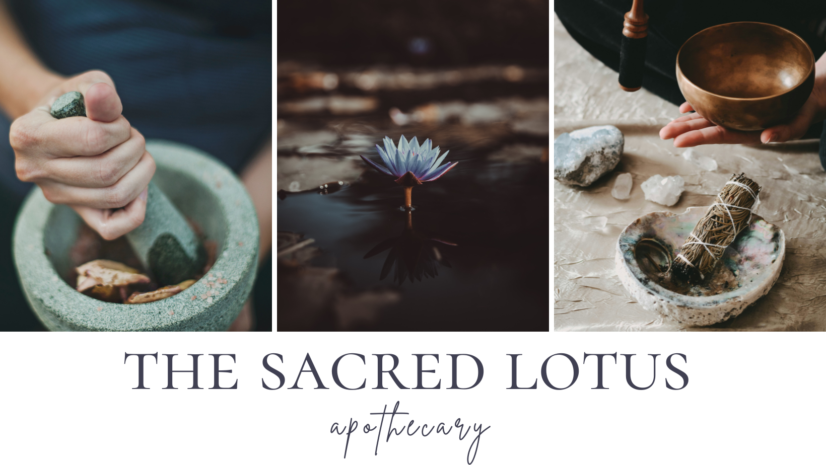 The Sacred Lotus – The Sacred Lotus Apothecary